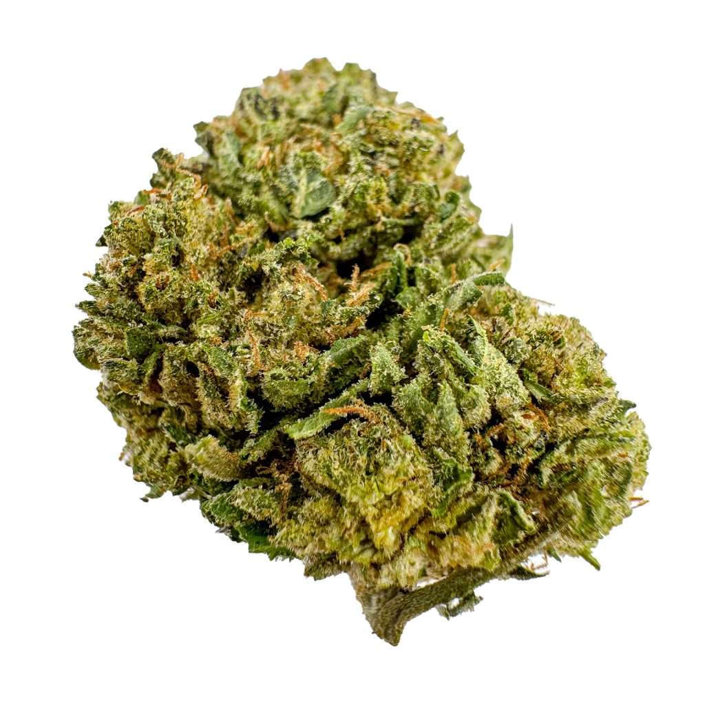 Shop Purp Driver Strain at Our Dispensary | Rewards