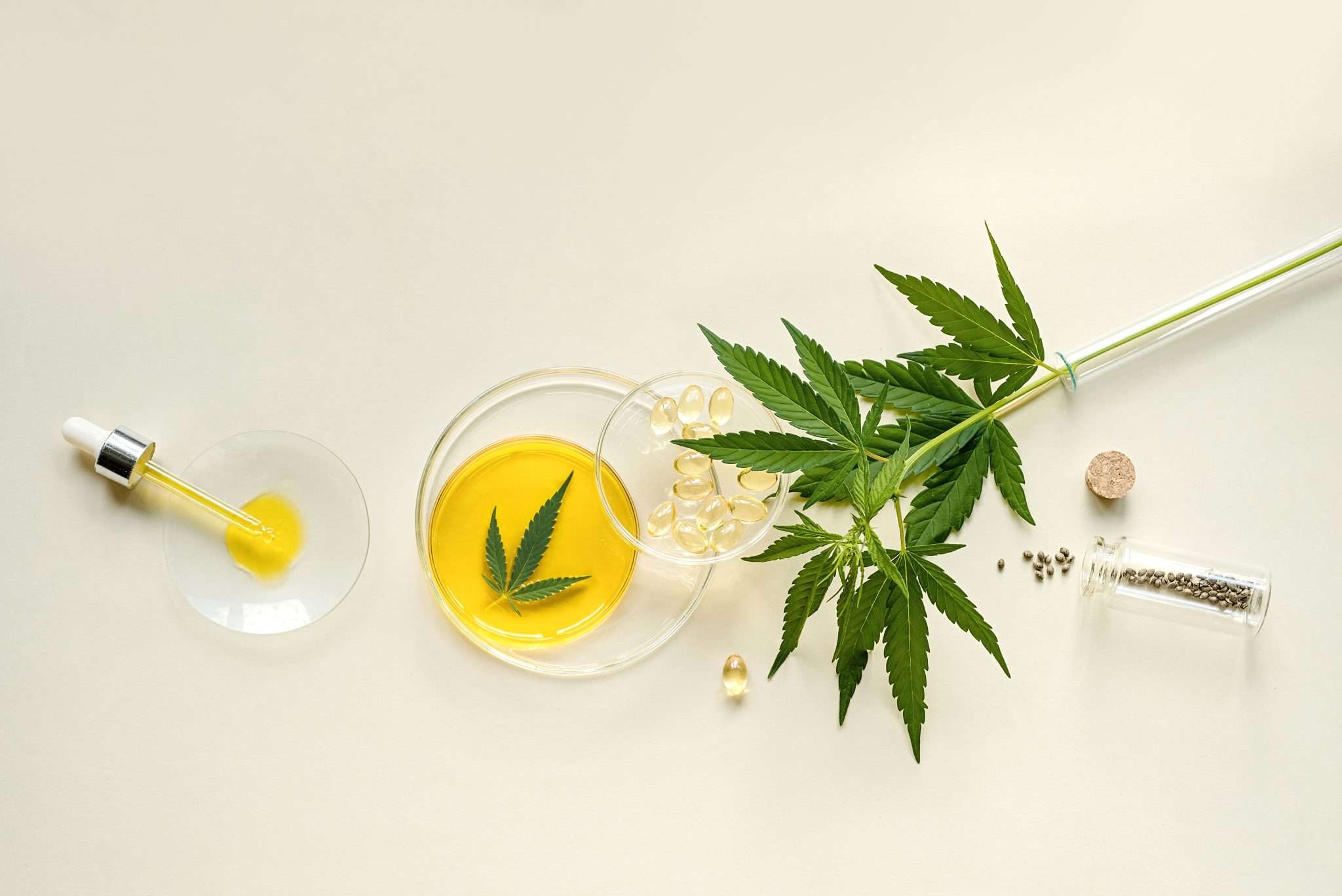 Different Methods and Effects of THCa Consumption Explained